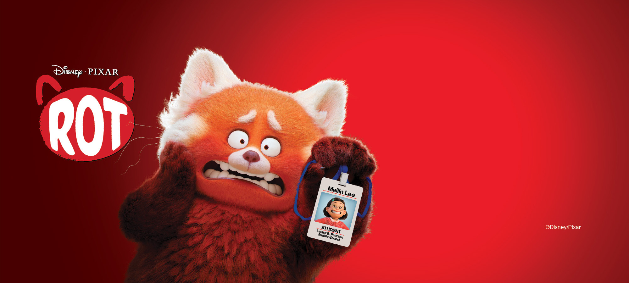 Startseite | Kiddinx